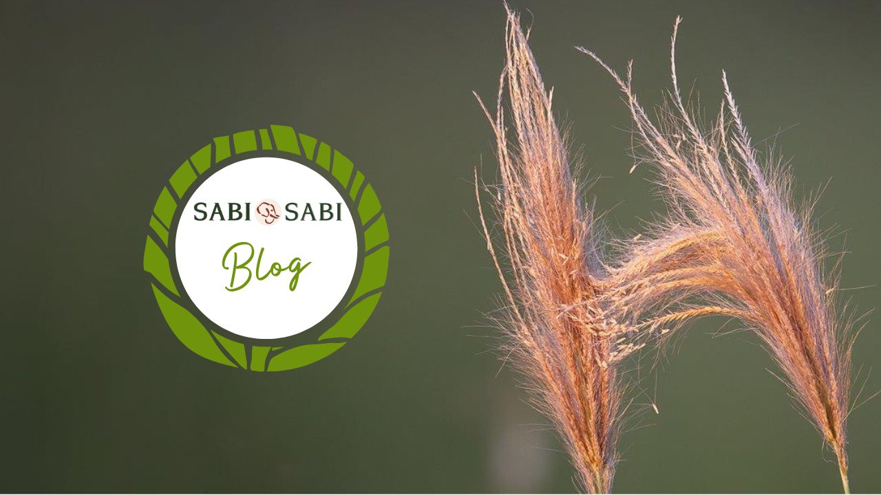 Grasses | Sabi Sabi