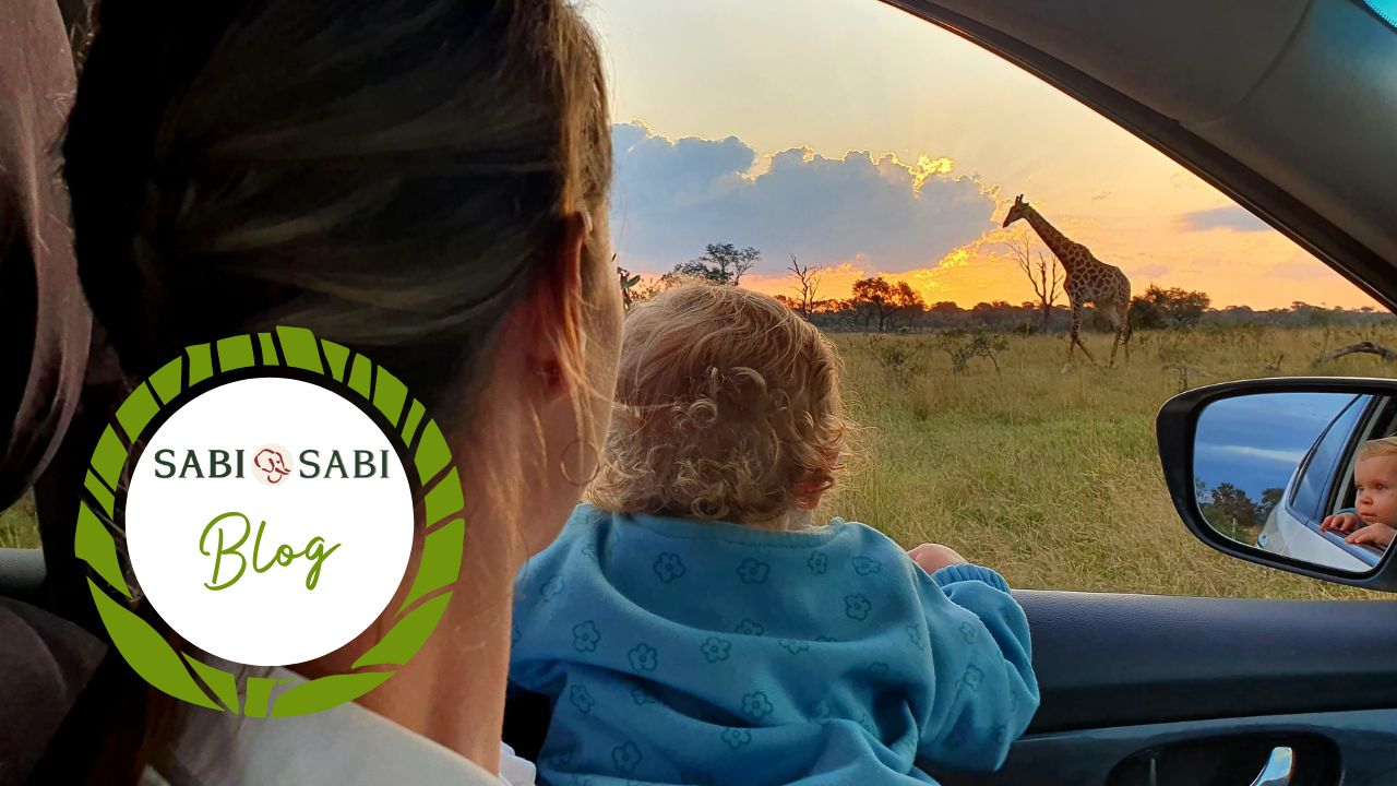 “Staff only” | Sabi Sabi