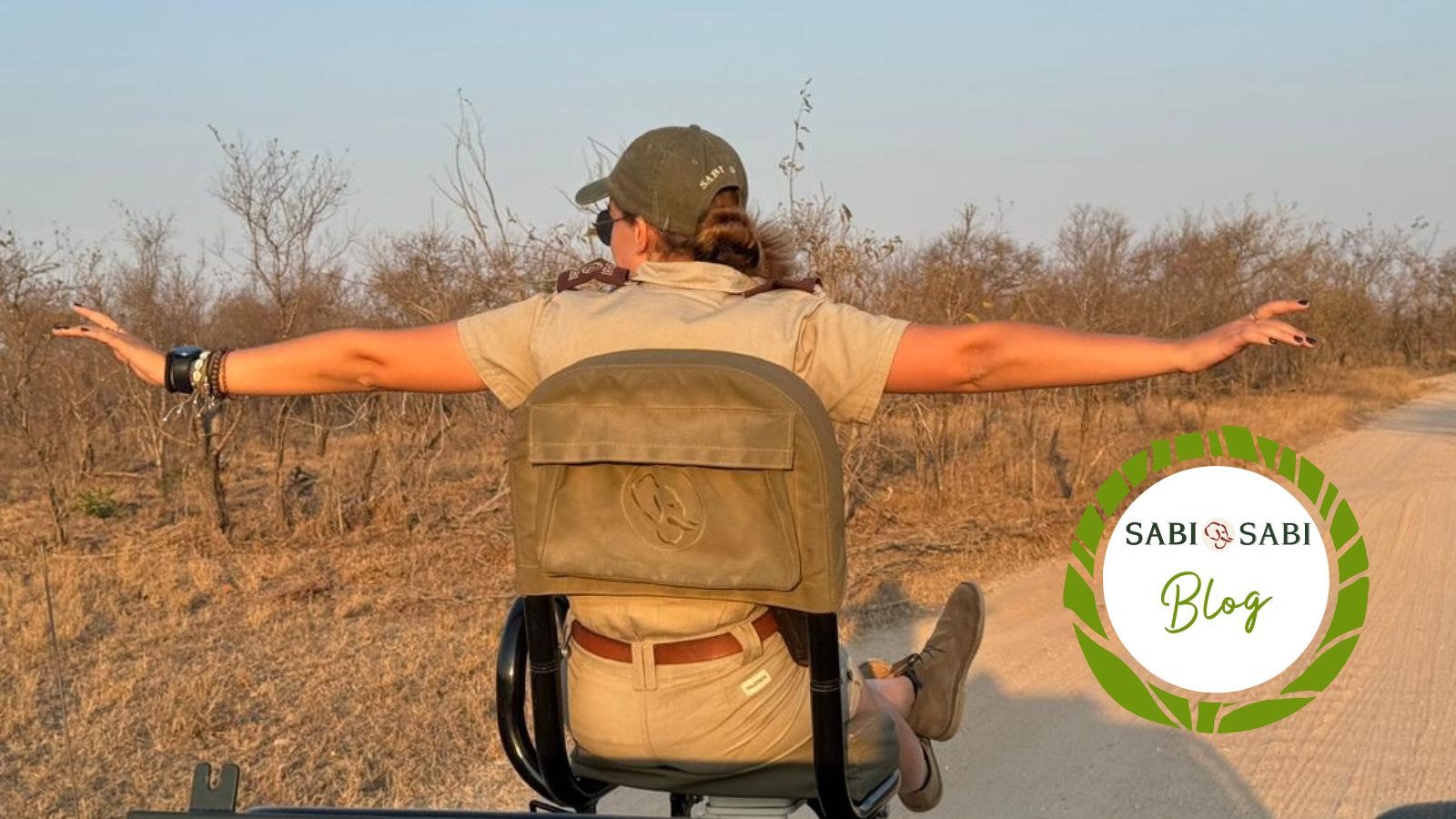Bushwise to Sabi Sabi I Sabi Sabi