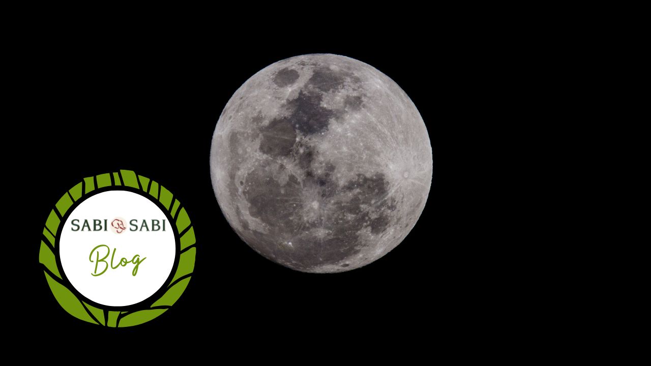 Super Blue Moon | Sabi Sabi