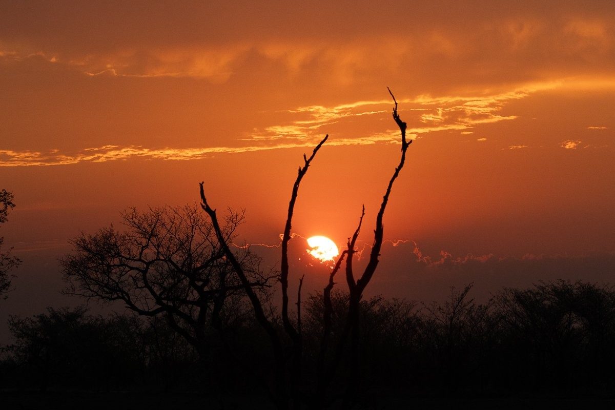 A Week in the Bush Vol. 572 I Sabi Sabi