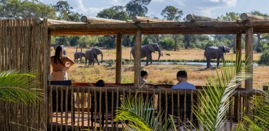 Introducing the Sabi Sabi Collection