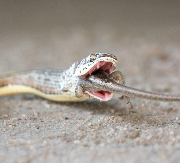 All in a Day | Sabi Sabi