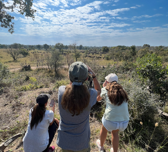 Bush Walk | Sabi Sabi