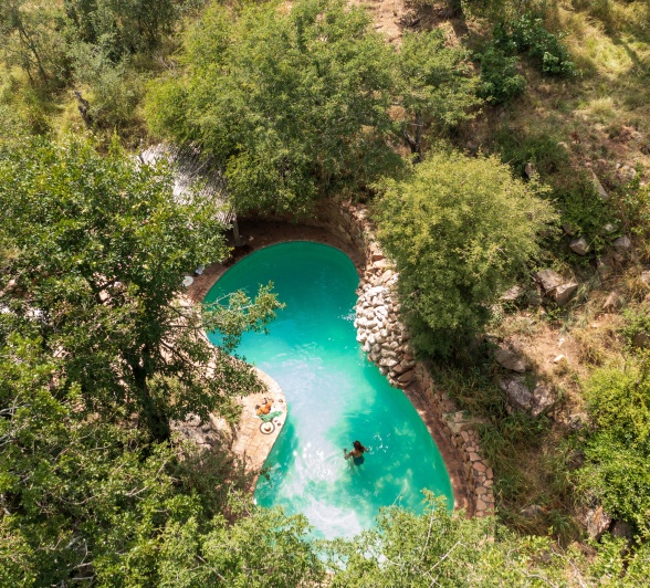 A Day in the Wild - Sabi Sabi Private Game Reserve