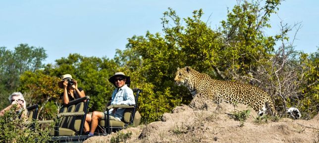 What To Pack | Sabi Sabi™