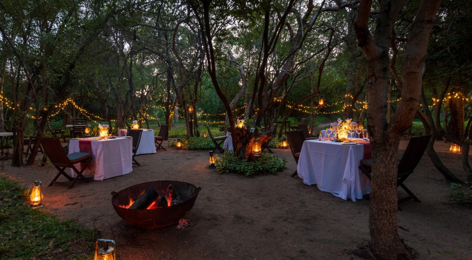Little Bush Camp - Luxury Private Safari | Sabi Sabi™