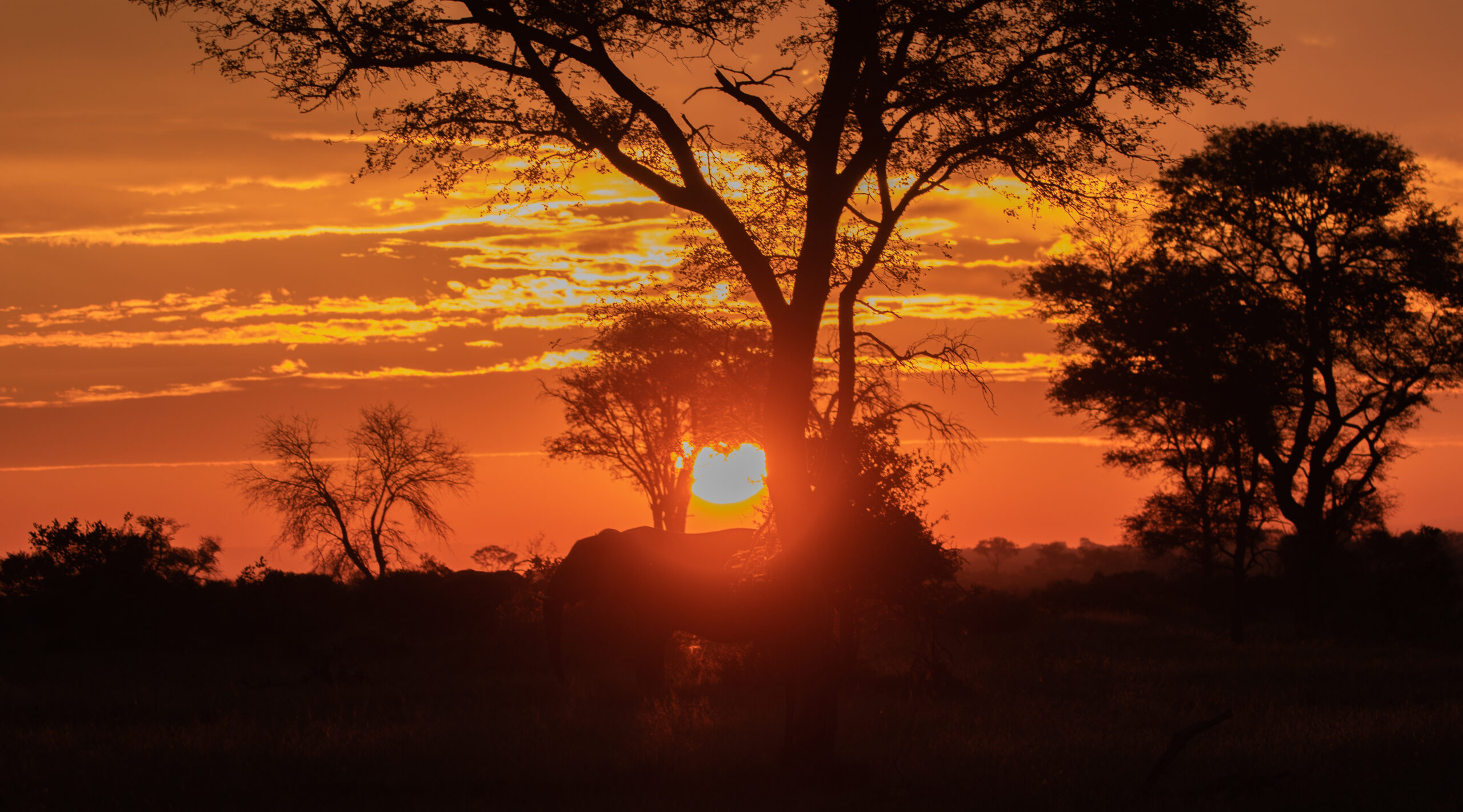 Chasing Sunsets | Sabi Sabi