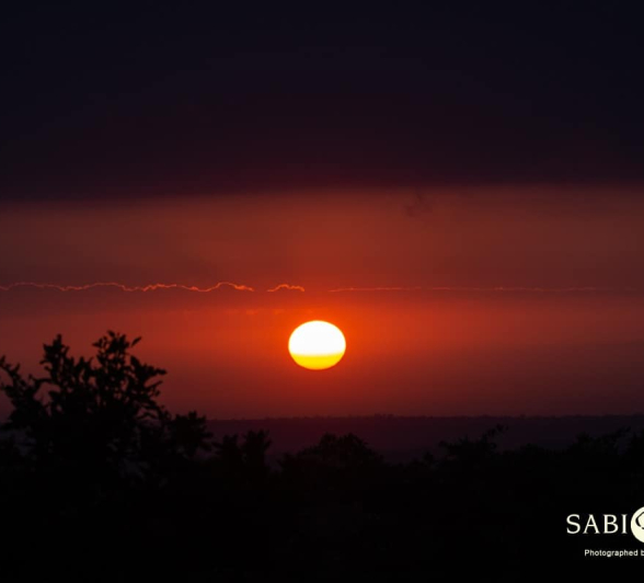 Bushveld Sunrise | Sabi Sabi