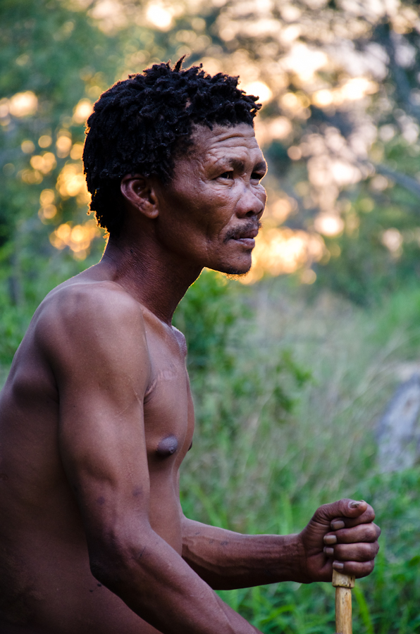 Master trackers show us how it is done | Sabi Sabi Blog
