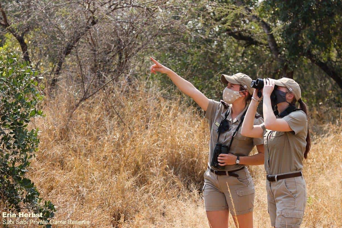 Benefits of a bush walk | Sabi Sabi