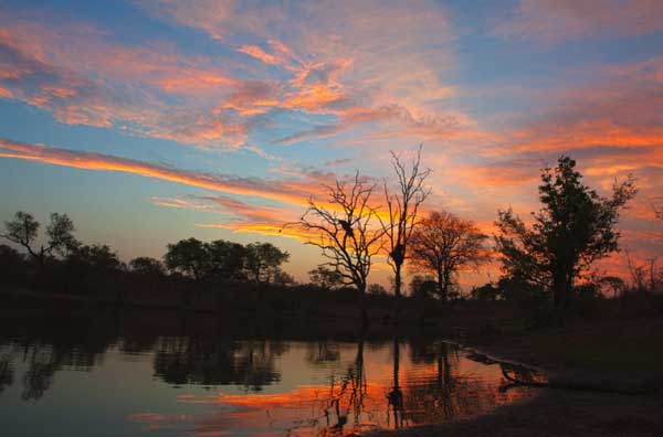 Sabi Sabi Private Game Reserve | Photography - Sensational Sunset